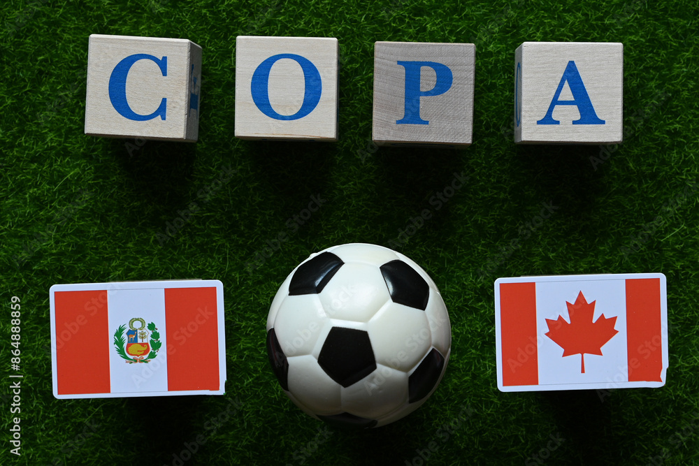 Flags of the participating teams of the America's Cup Soccer Group A ...