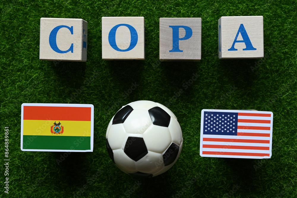 Flags of the participating teams of the America's Cup Soccer Group C ...