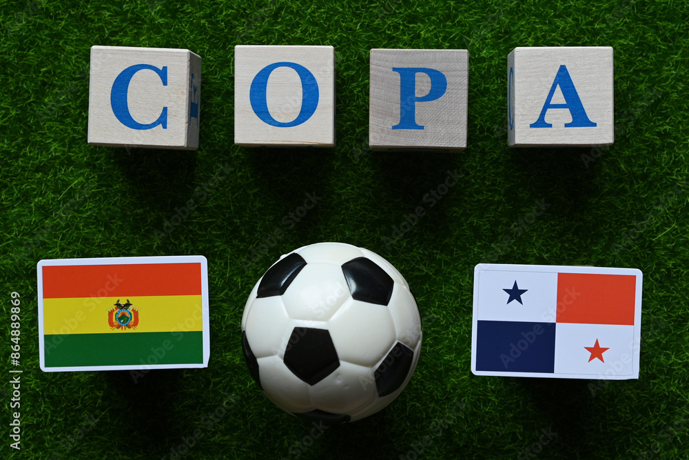 Flags of the participating teams of the America's Cup Soccer Group C ...