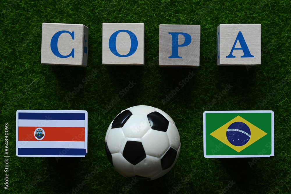 Flags of the participating teams of the America's Cup Soccer Group D ...