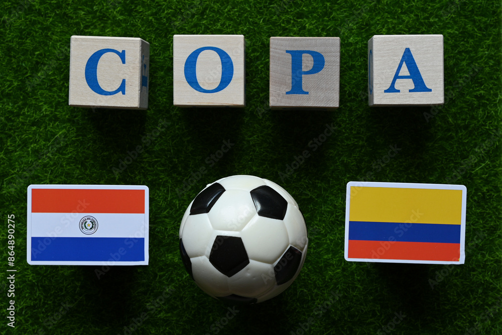 Flags of the participating teams of the America's Cup Soccer Group D ...