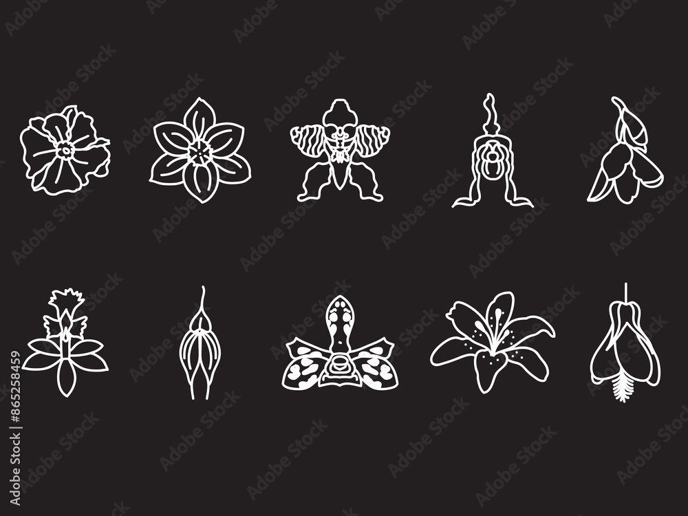 set of hand drawn peru machu picchu flower outline icon .south america ...