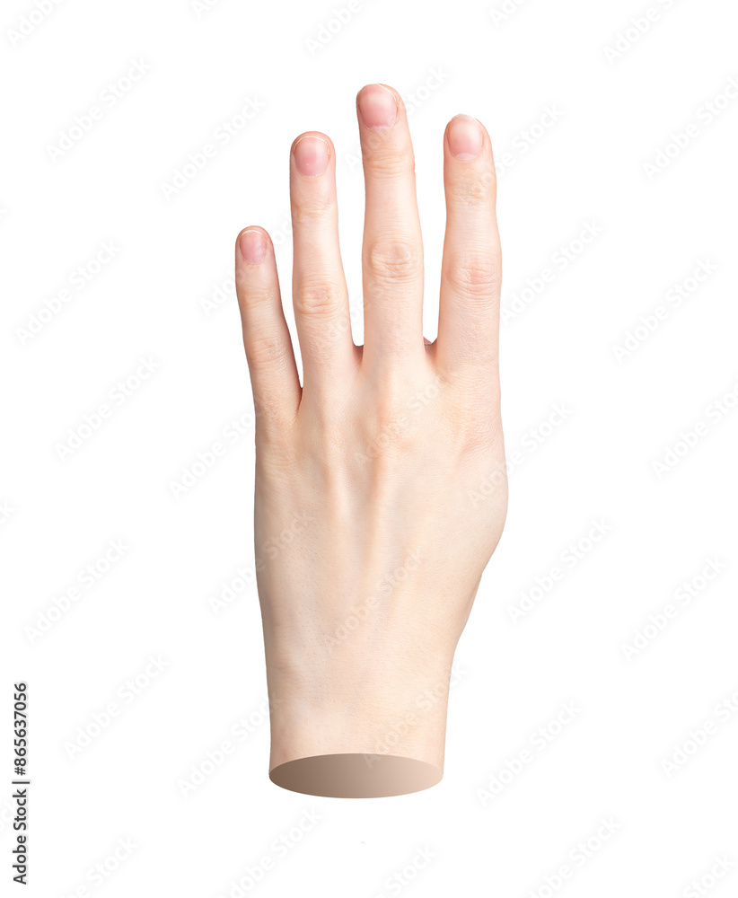 Hand showing four fingers, counting 4. Fourth number gesture, isolated ...