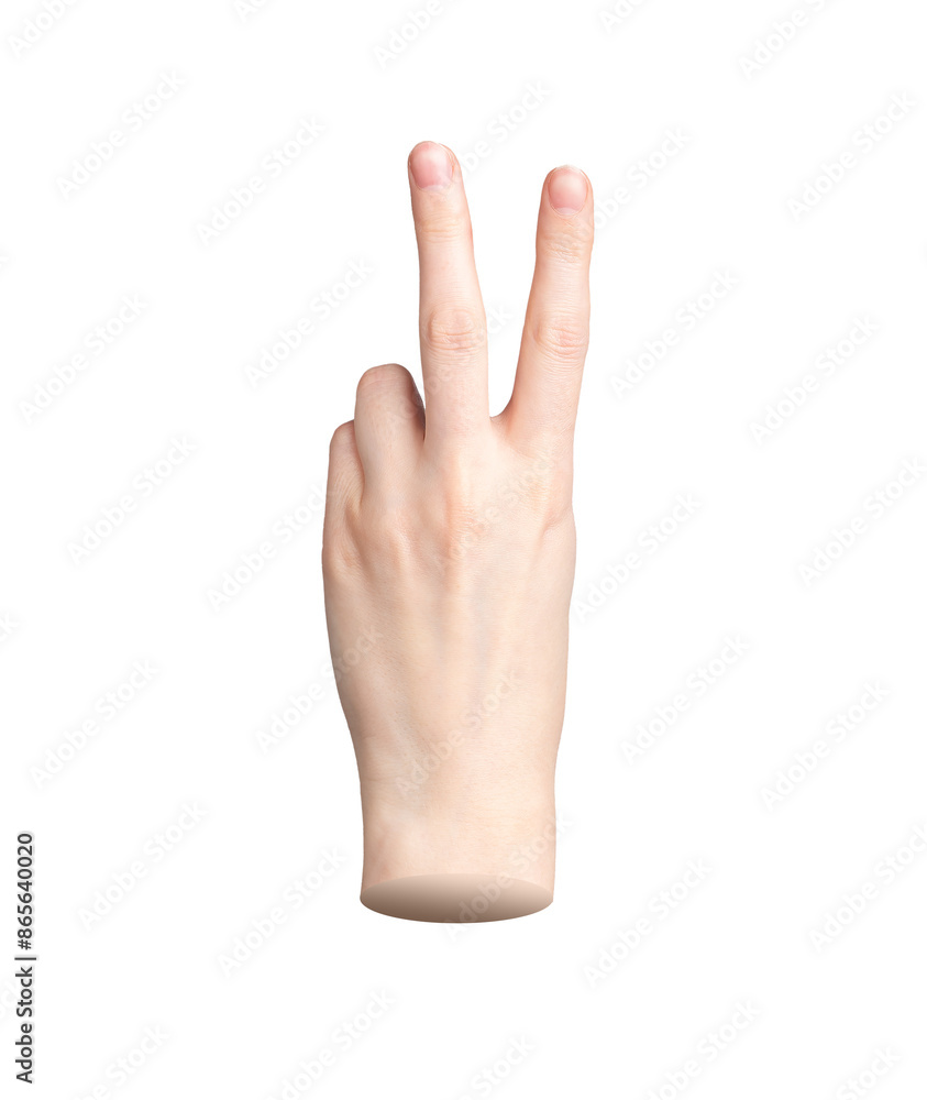 Victory gesture with two fingers. Winner sign, hand symbol for peace ...