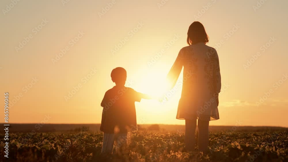 Mom And Child Holding Hands Together, Family Background. Son Takes ...