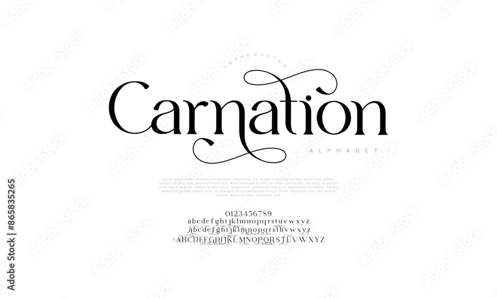 Carnation premium luxury elegant alphabet letters and numbers. Vintage ...