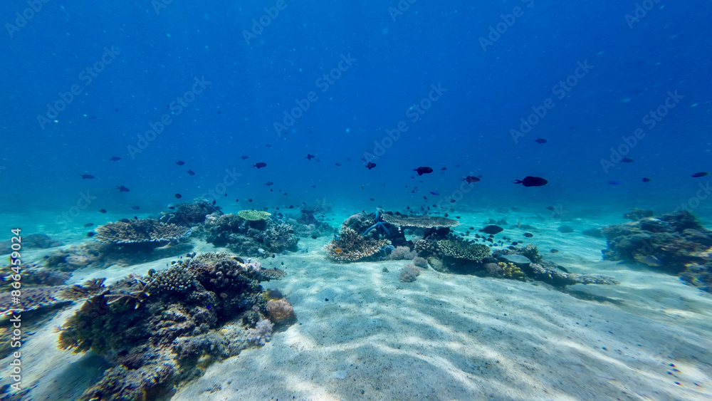 Sandy bottom in a tropical sea underwater. The sun's rays pass through ...