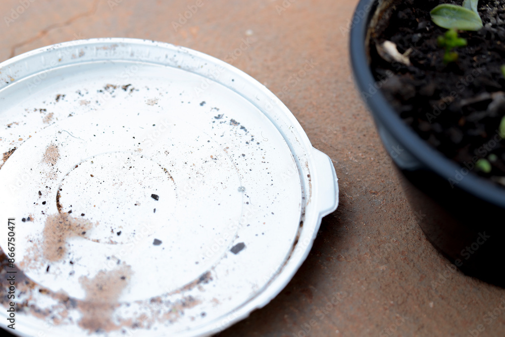 Abandoned plant pot with accumulated water. The location could be a ...