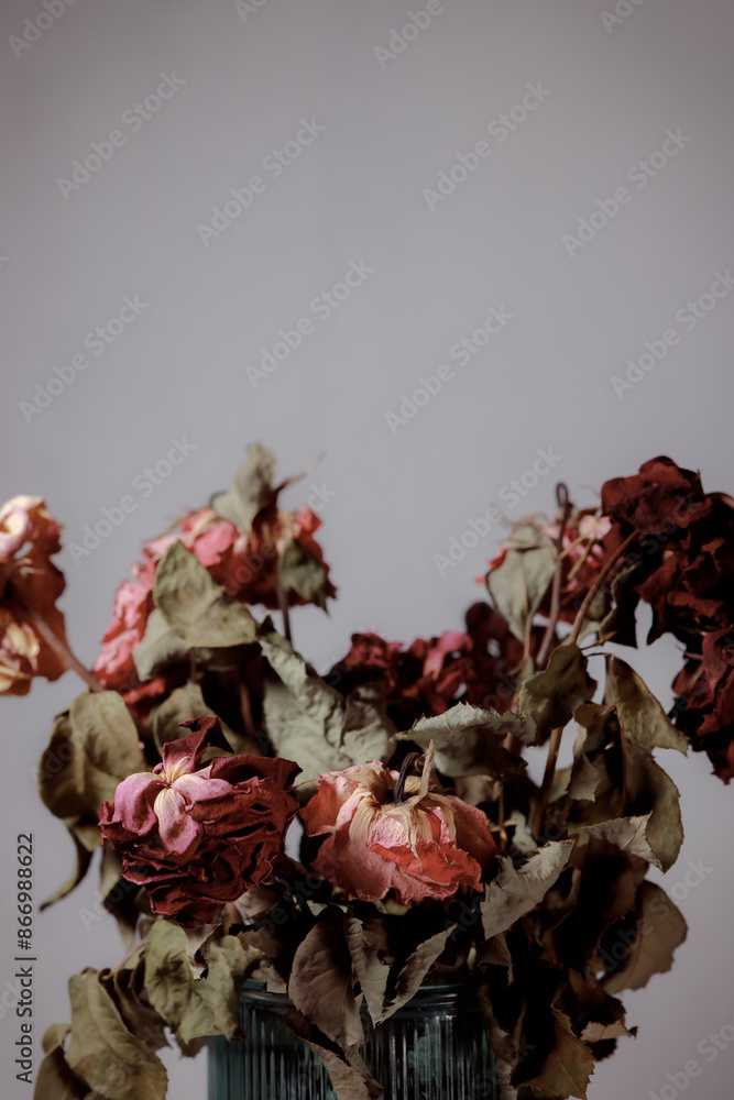 Dried flowers in a glass vase. Concept of dry skin, mental health ...