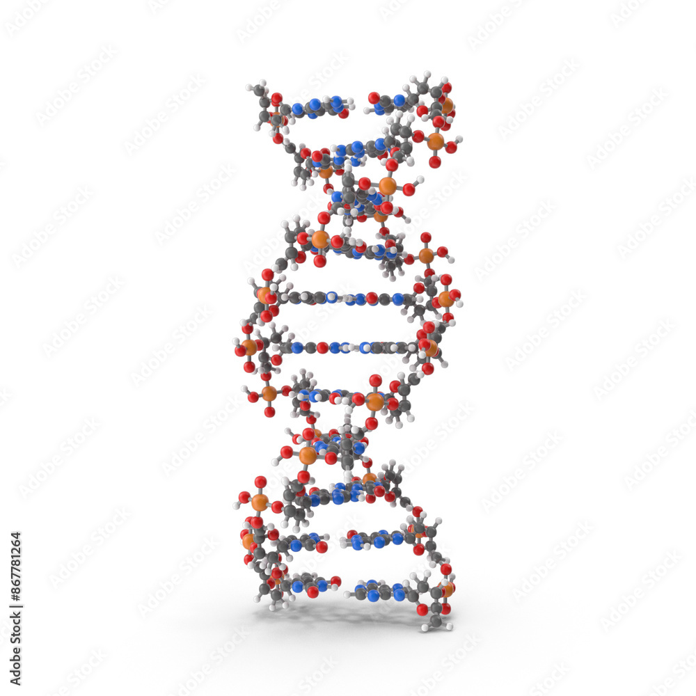 Realistic 3D DNA Model PNG Images | High-Quality DNA Modeling Illustrations | Scientific DNA Art ...