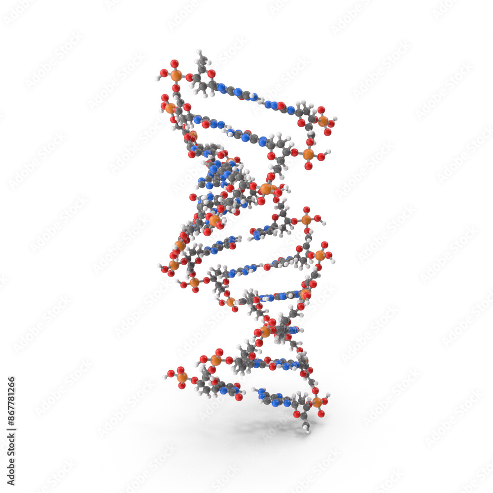 Realistic 3D DNA Model PNG Images | High-Quality DNA Modeling ...