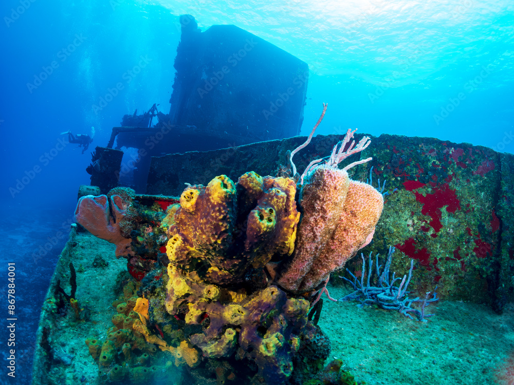 Felipe Xicotencatl C-53 shipwreck, originally named the USS Scuffle ...