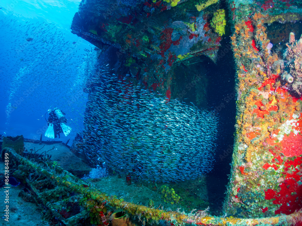 Felipe Xicotencatl C-53 shipwreck, originally named the USS Scuffle ...