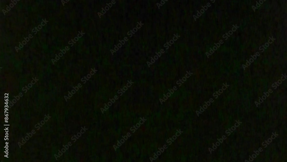 Elegant Realistic Light Leaks Transitions Video Overlay for Stunning ...