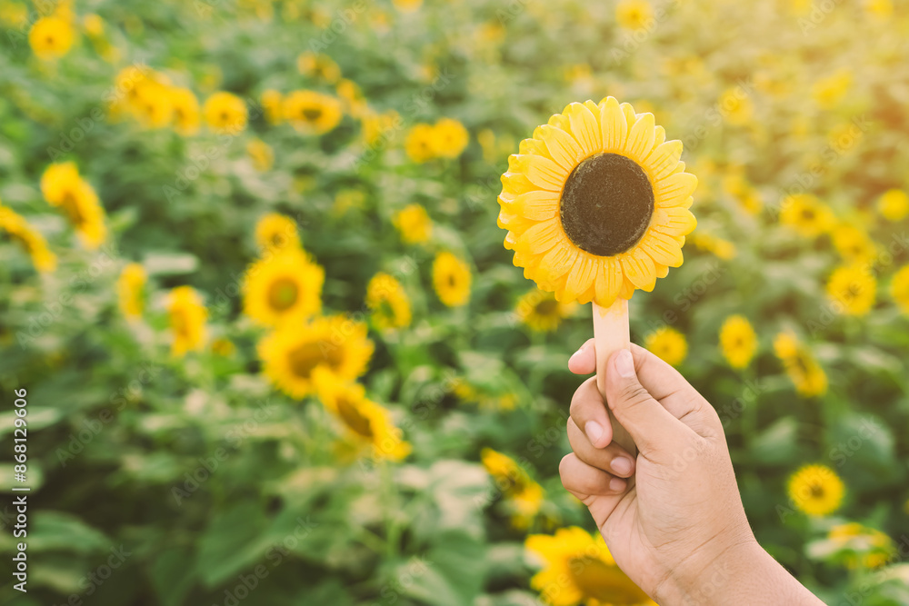 Sunflower ice pop in hand of young woman with blurred sunflower garden ...