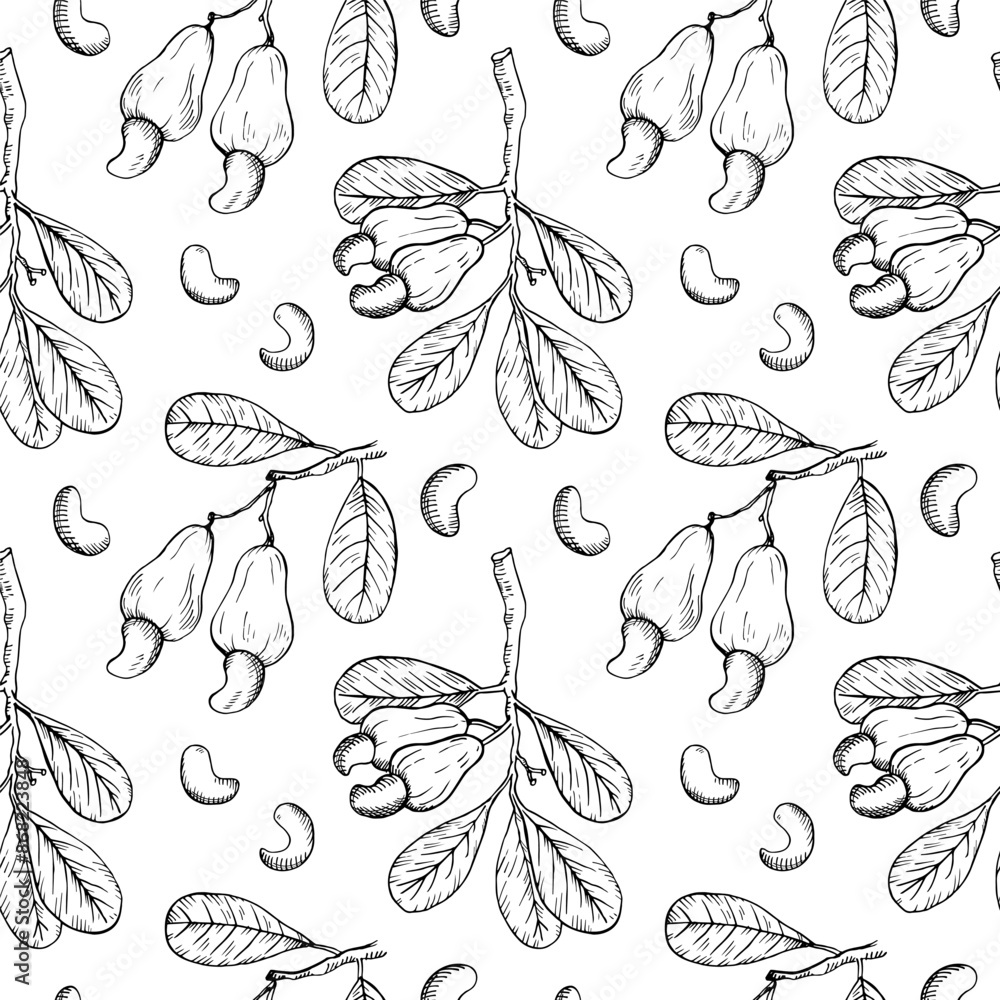 Cashew nuts seamless pattern. Hand drawn engraved repeating background ...