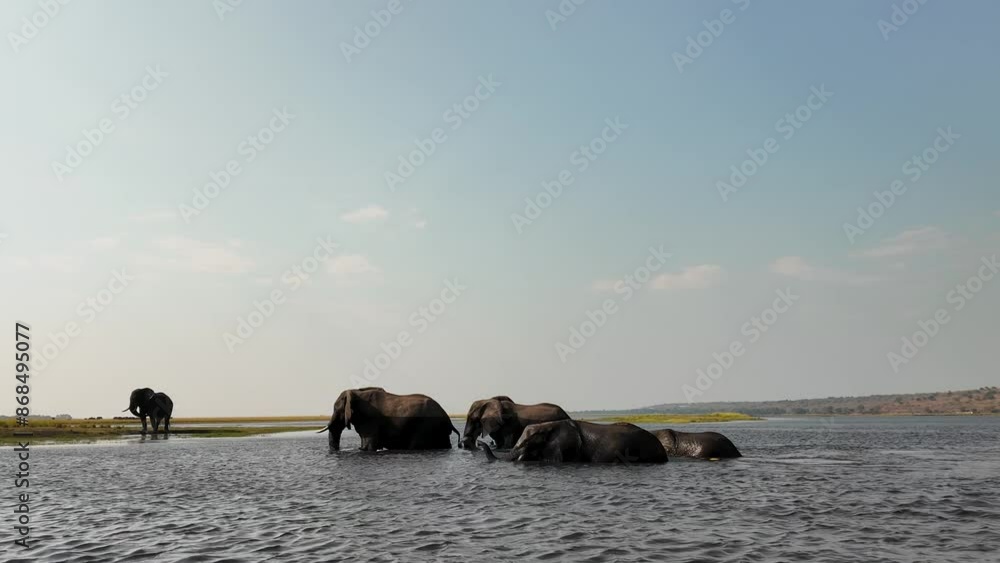 Safari Skyline At Chobe National Park Kasane Botswana. Wildlife Chobe ...