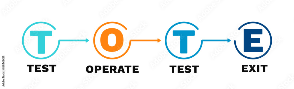 Tote model diagram. Strategy of behavioral perception in animals and ...