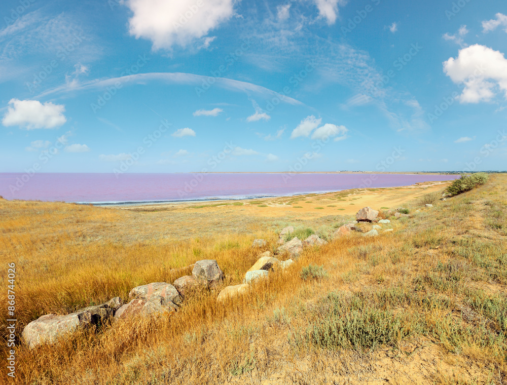 Pink extremely salty Syvash Lake, colored by microalgae. Also known as ...