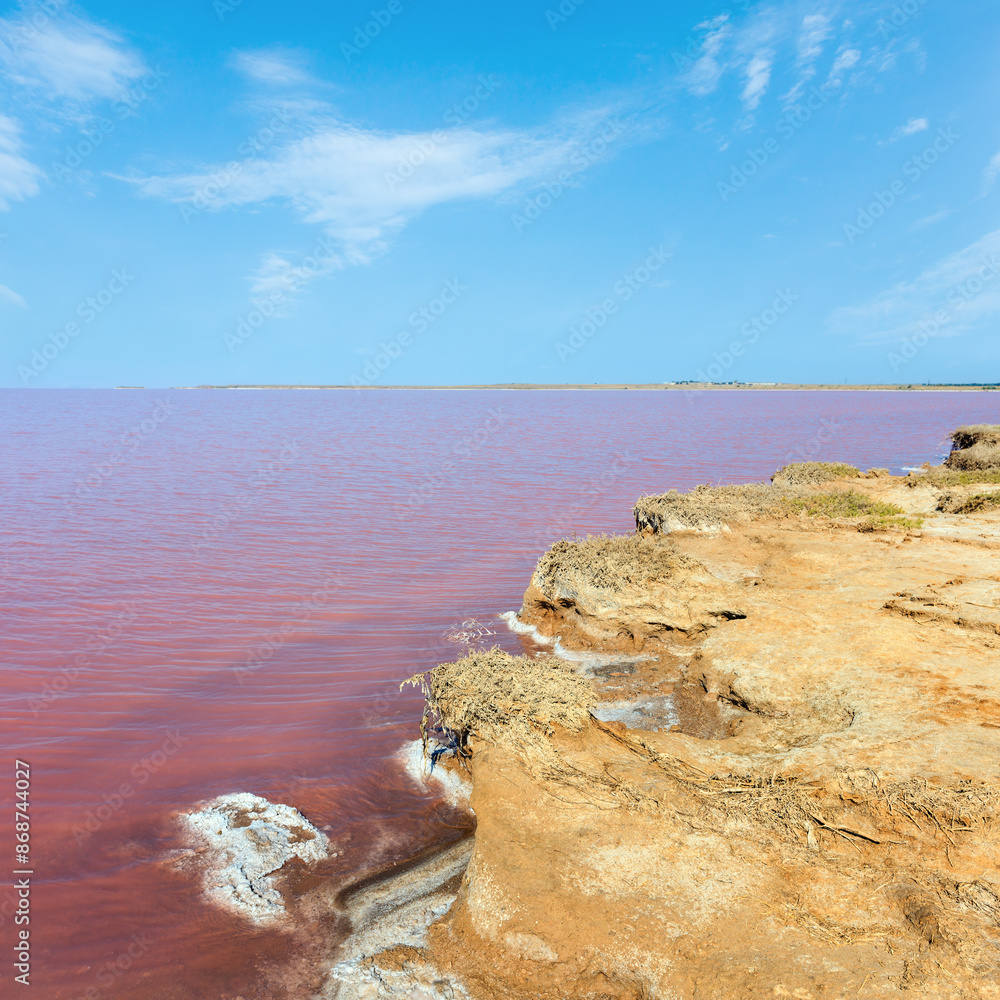Pink extremely salty Syvash Lake, colored by microalgae. Also known as ...