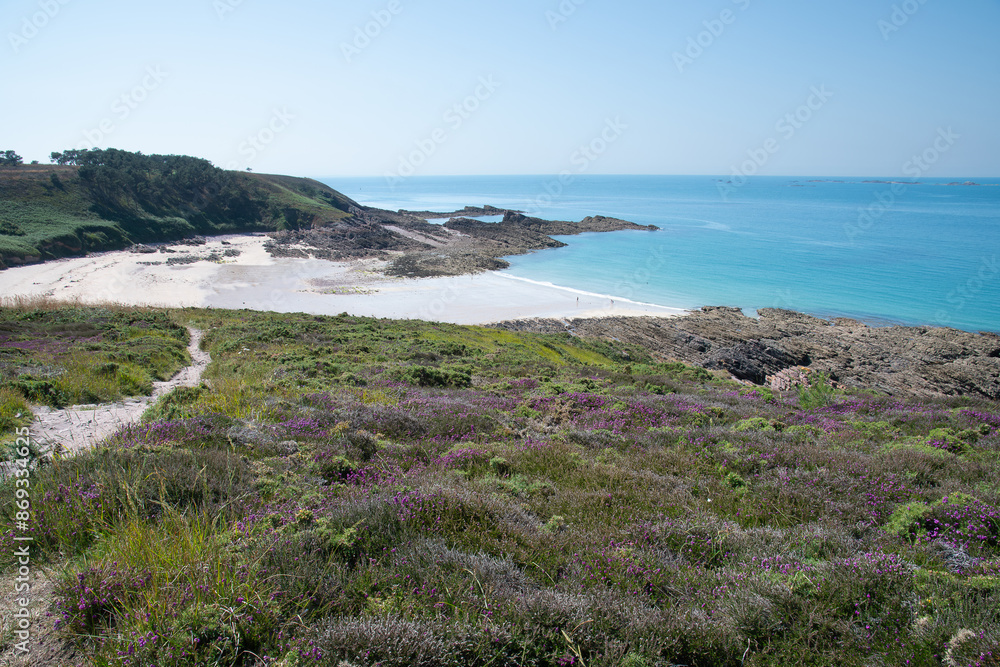 Joli paysage de la côte bretonne depuis le sentier de randonnée GR34 du ...