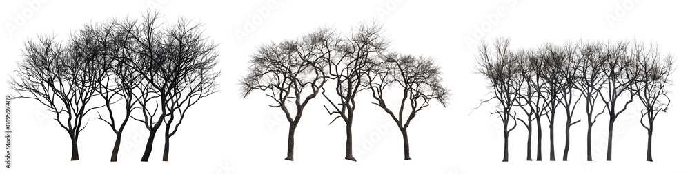 Digital art of group of black trees without leaves isolated on ...