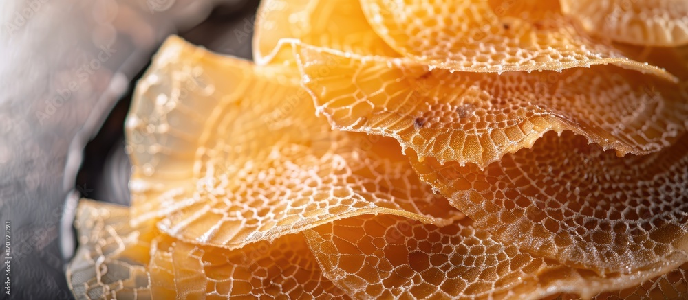 Golden brown kripik krupuk kulit ikan kakap, traditional dried fish ...