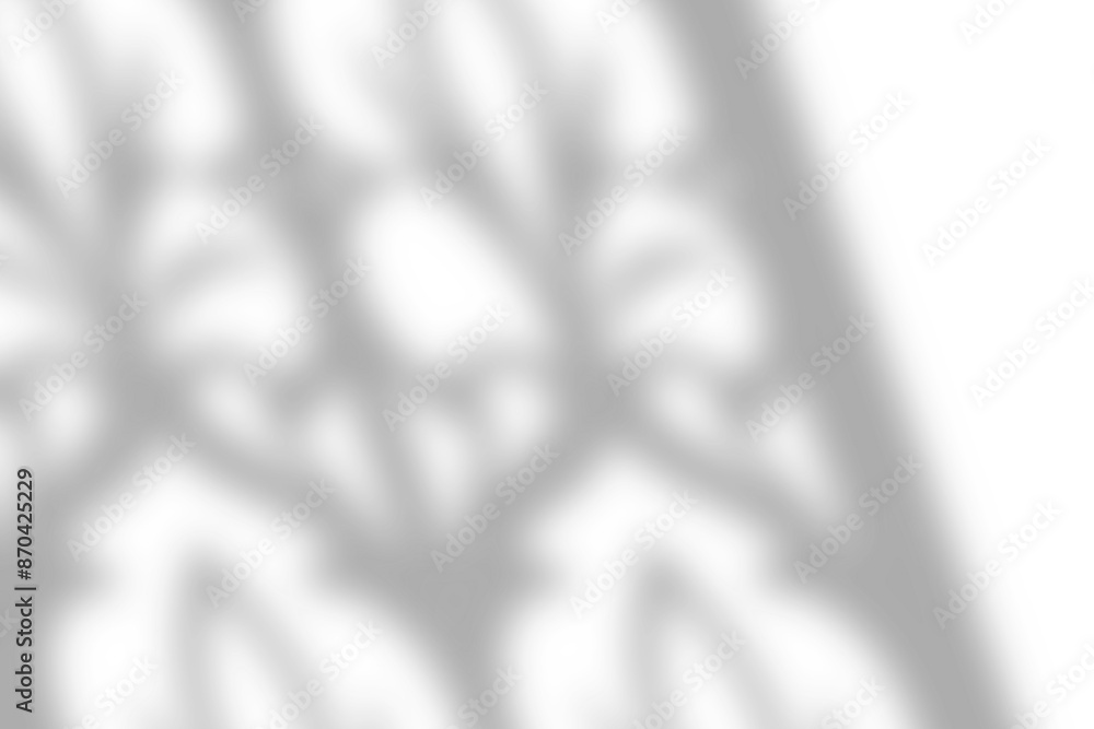 Shadow from light window. Window shadow effect. Reflect sun beams on ...