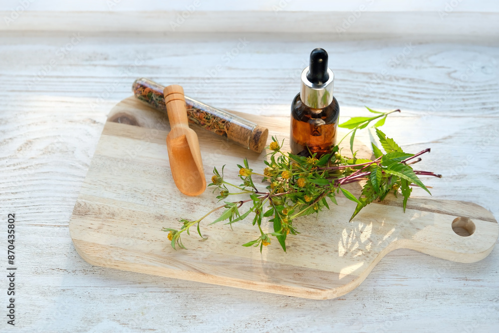Amber glass Bottle of herbal extract, medicinal plant of Bidens ...