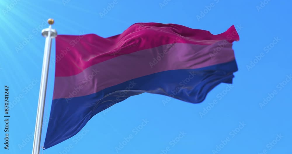 Bisexual Pride Flag Symbol of Gender Diversity with its unique ...