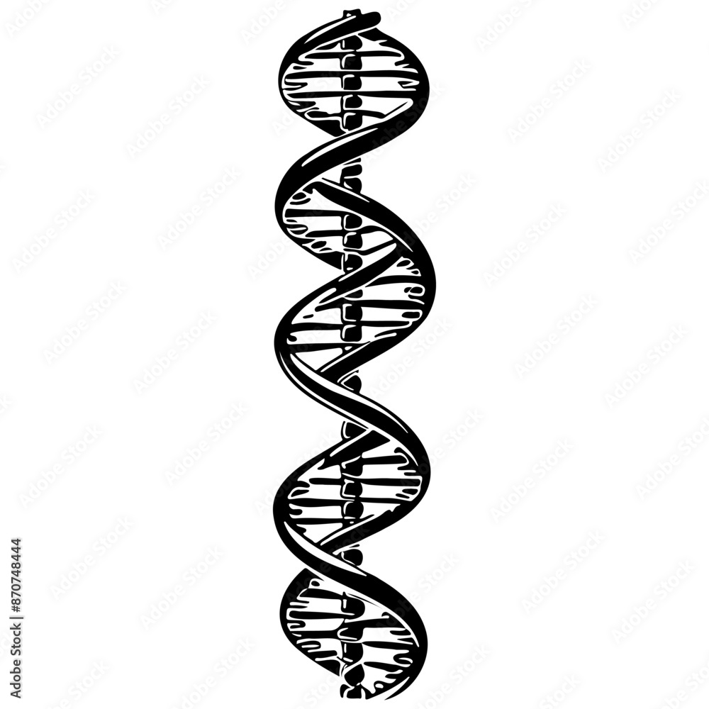 cartoon dna drawing, line head, line art black realistic sketches ...