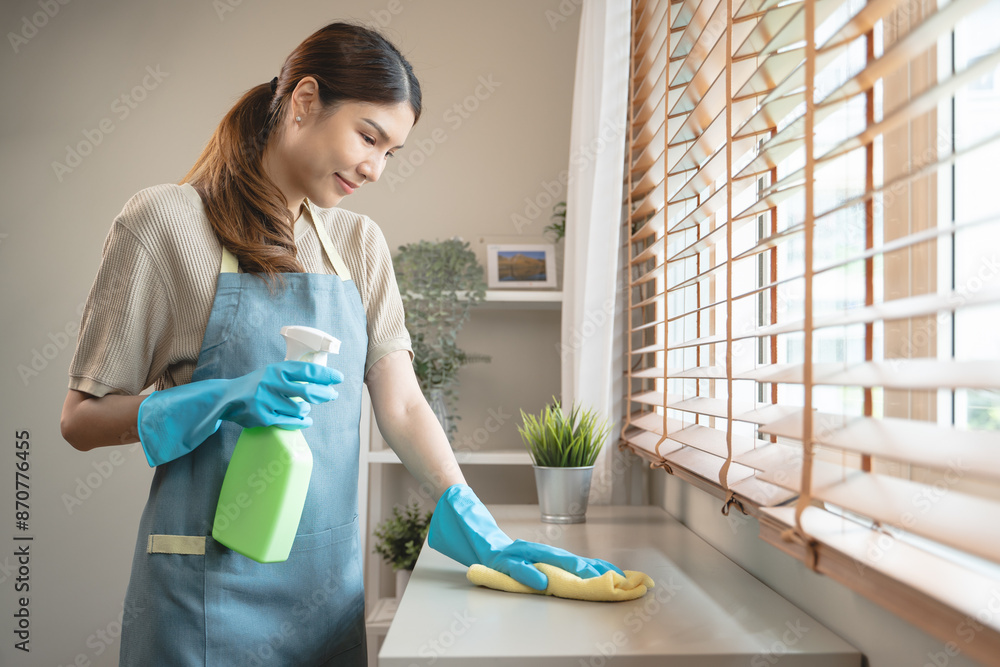 Housekeeper doing chores concept, Close-Up view of housemaid cleaning ...