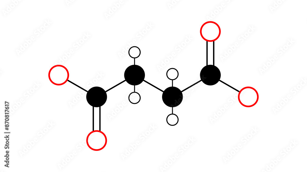 succinate molecule, structural chemical formula, ball-and-stick model ...