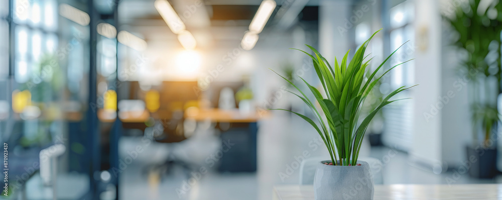 A blurred bright office background featuring open-plan workstations ...