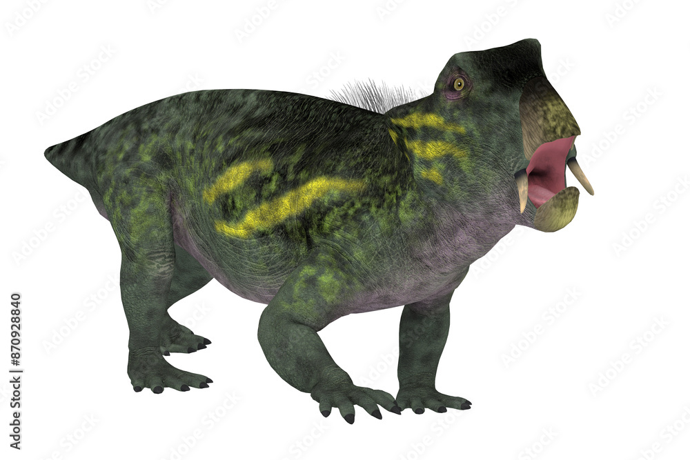 Lystrosaurus Open Mouth - Lystrosaurus was a dicynodont therapsid ...