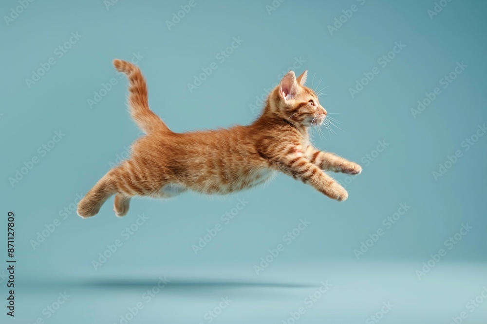 cat jumping in the air. ginger cat stands on its hind legs and reaches ...