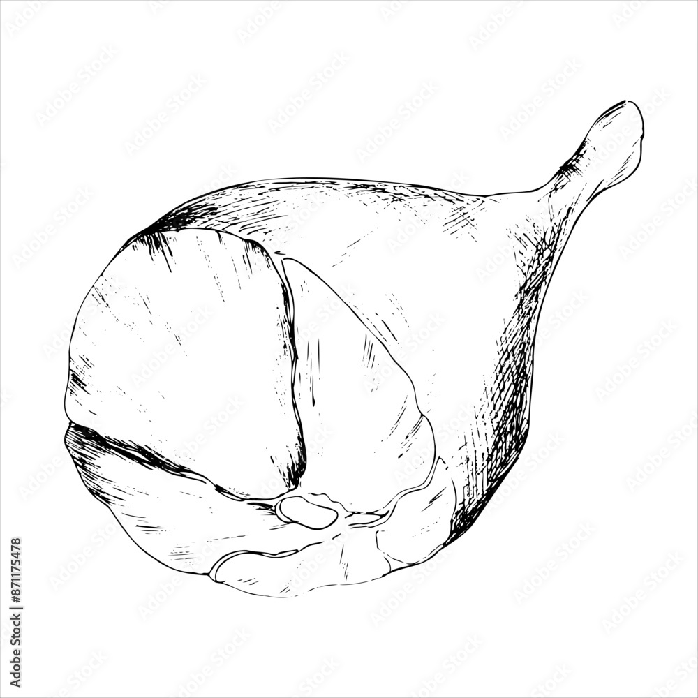 Graphic drawing of ham. Hand drawn vector sketch of meat on the bone ...
