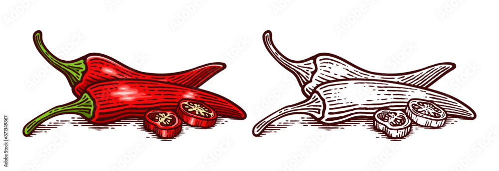 Hand Drawn Chili Pepper, Line Art Engraving Style Vector Illustration ...