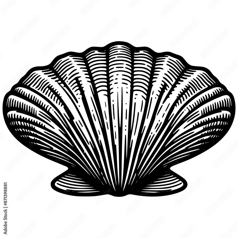Seashell, Shell, Seashell Svg file, Seashell Png, Seashell Clipart ...