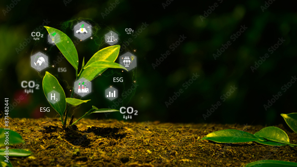 World environment day. young plant growing in soil, surrounded by ESG ...