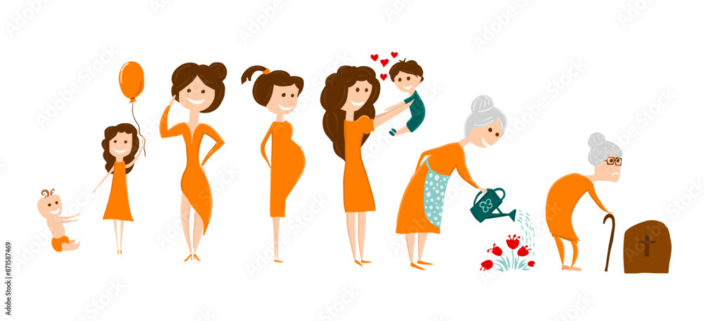 Different stages of a woman's life. Vector illustration of stages of ...
