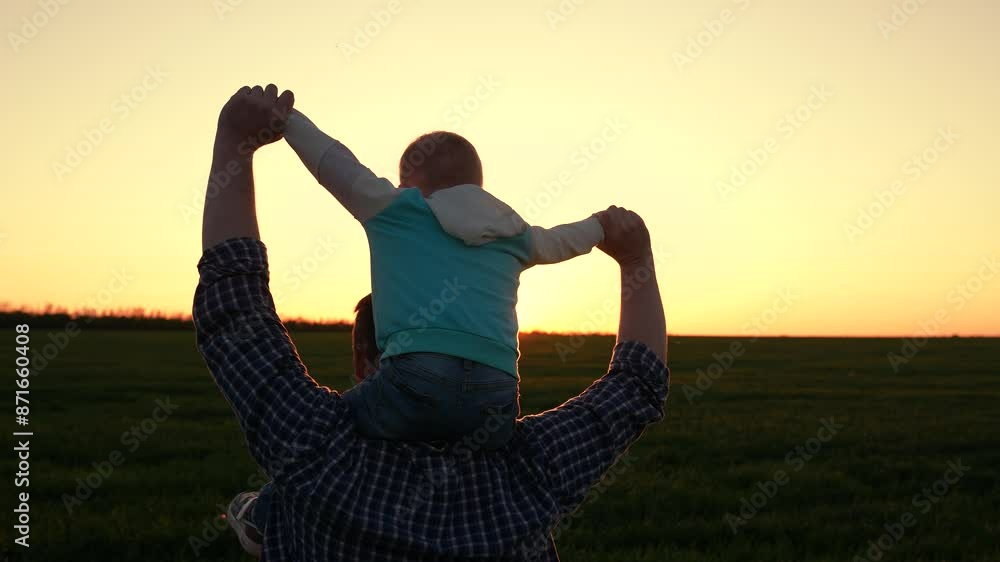 Satisfied son child on shoulders of father dad walking across field at sunset. Back view of ...