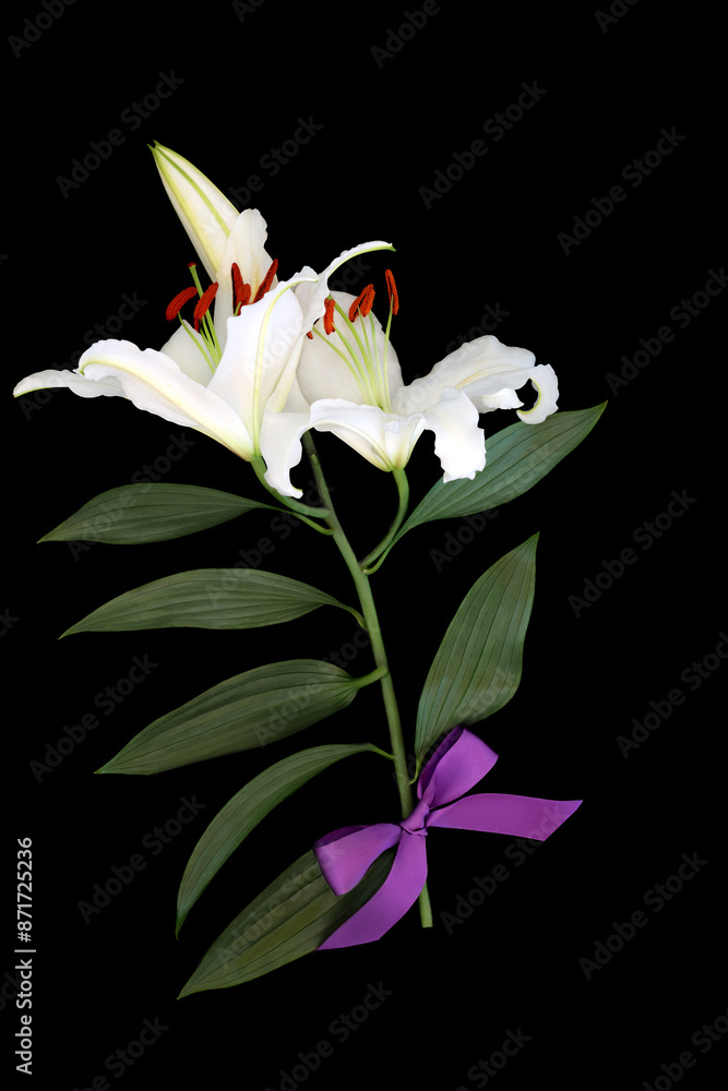 White lily flower symbol for in deepest sympathy, remembrance, order of ...