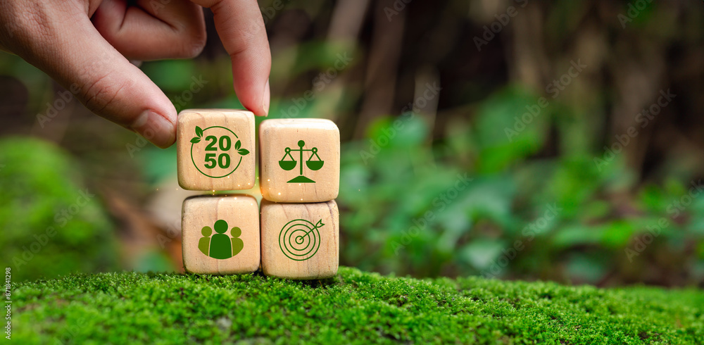 Net zero carbon by 2050, plans and new energy vision The solution to ...