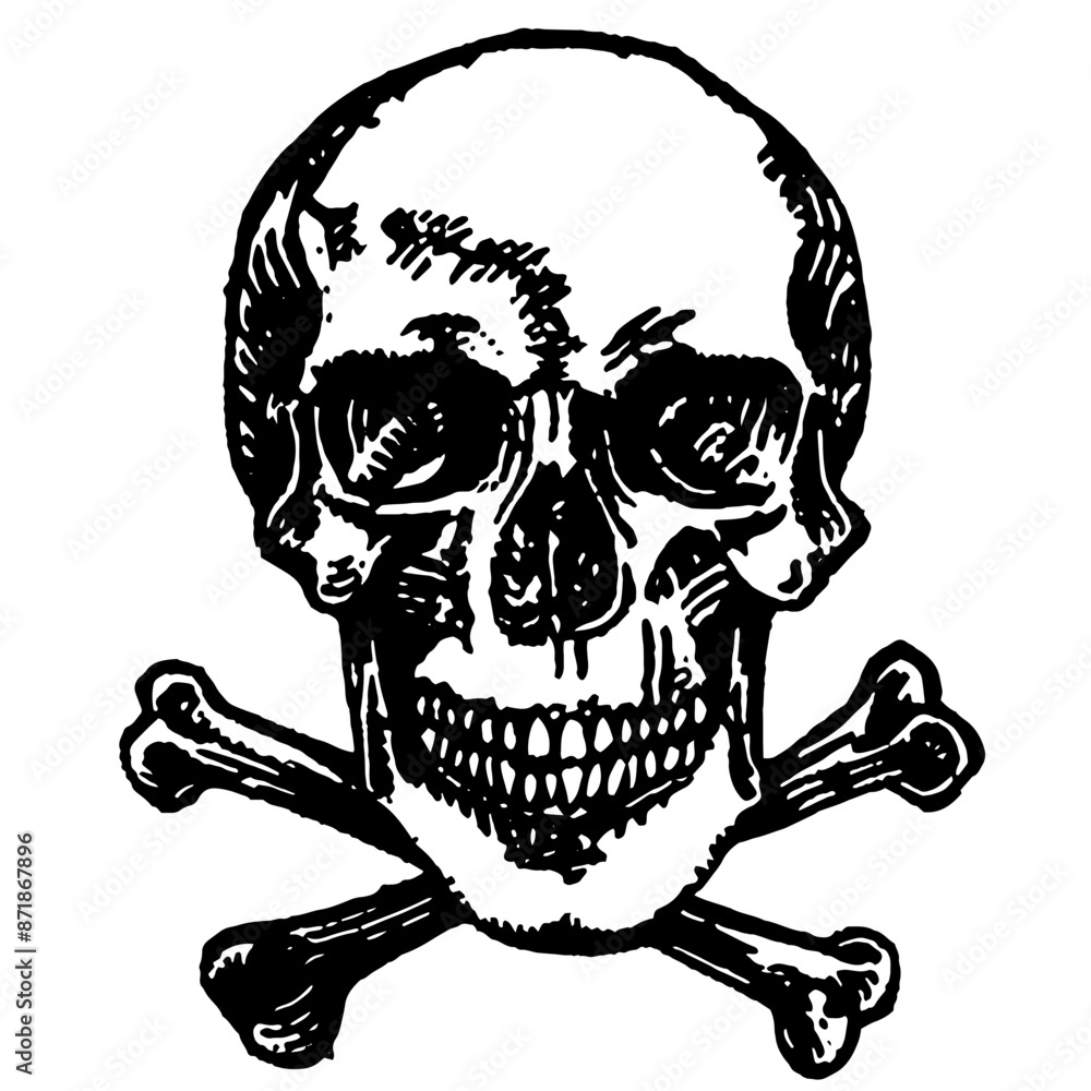 Skull and bones pirate symbol SVG vector transparent background PNG ...