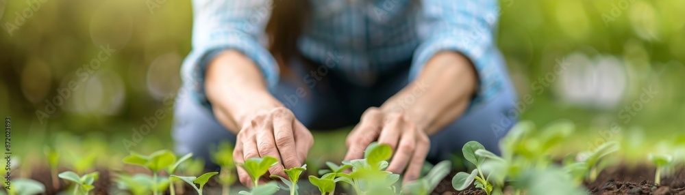 Community garden with diverse plants and residents cultivating plots in ...