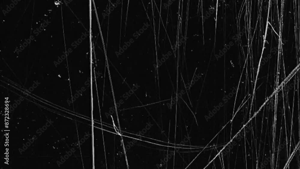 TV noise of VHS tape, no signal. White static noise screen flickers ...