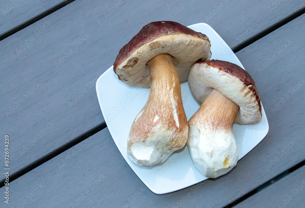Plato de Boletus frescos y limpios listos para ser cocinados. Dos ...