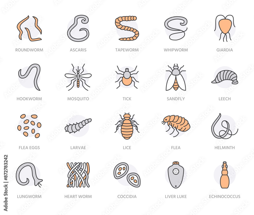 Parasites flat line icons set. Intestinal worm, helminth, sandfly, tick ...