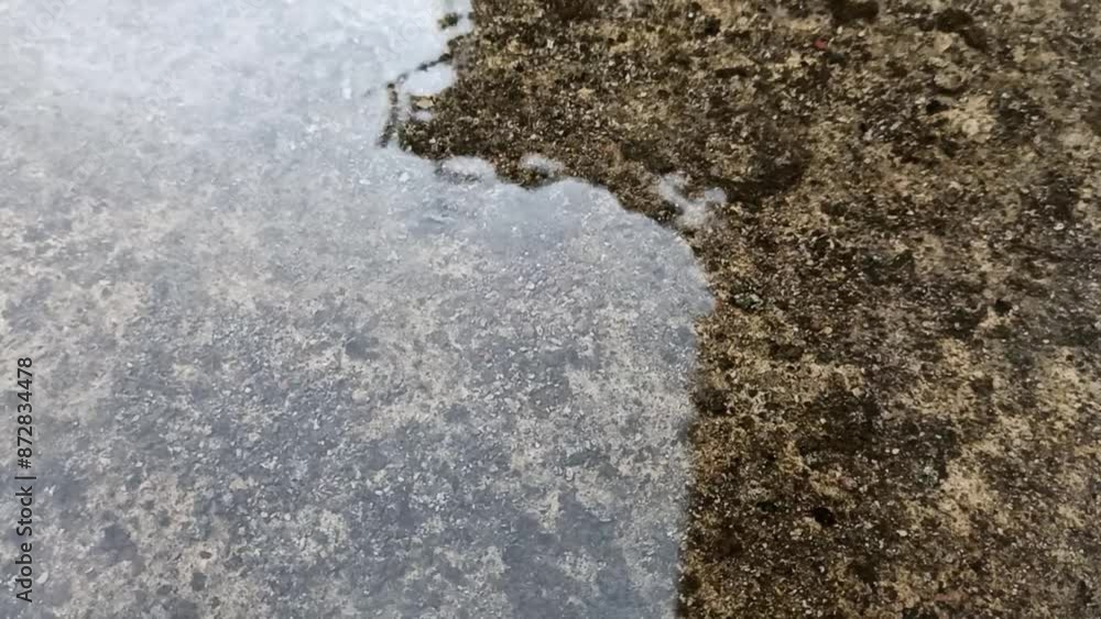 Team capturing the serene beauty of raindrops in puddles, evoking ...